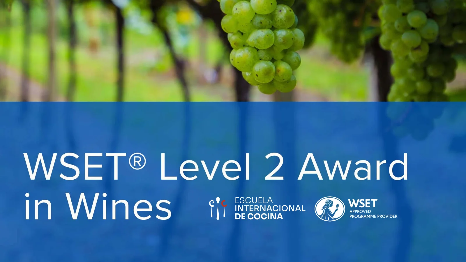 Curso de WSET Level 2 en Vinos (16 Diciembre) - Escuela Internacional ...