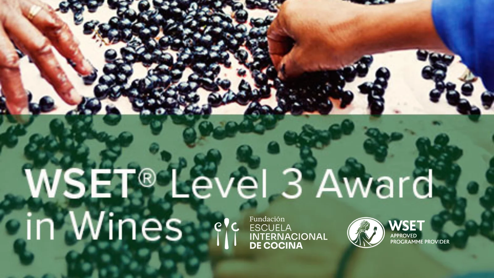 Curso de WSET Level 3 en Vinos (Junio) - Escuela Internacional de Cocina